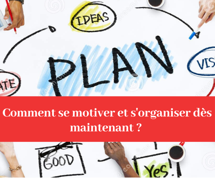 ATELIER ONE :: Ileveil